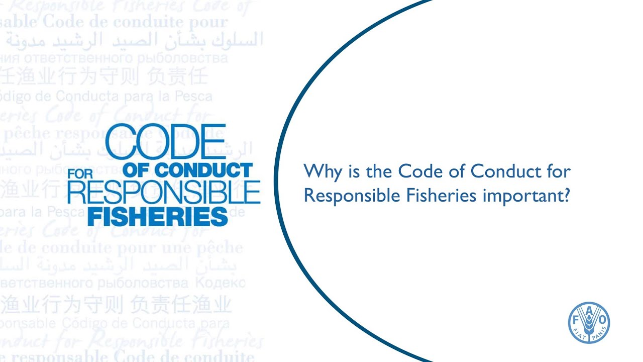 Why is the FAO Code of Conduct for Responsible Fisheries importa ...